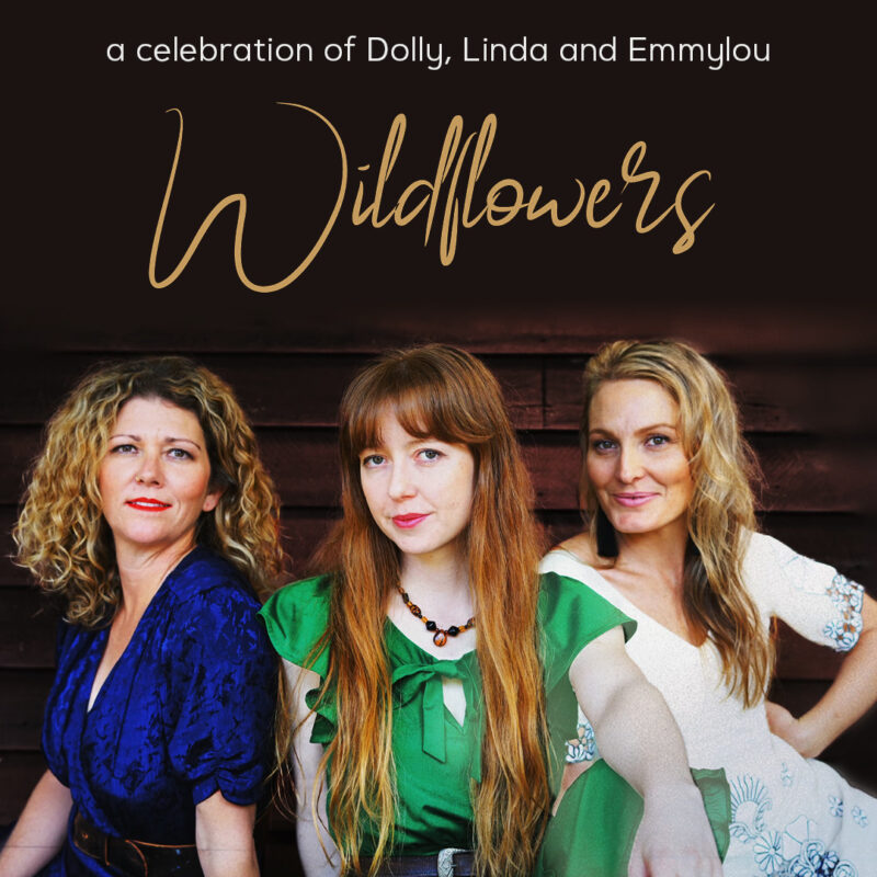 I Love You, Bro - Ipswich Civic Centre